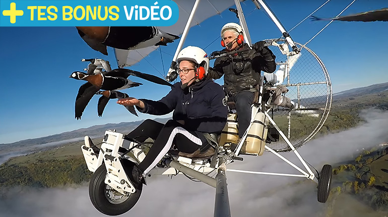 Christian Moullec vole avec des oies - Images Doc