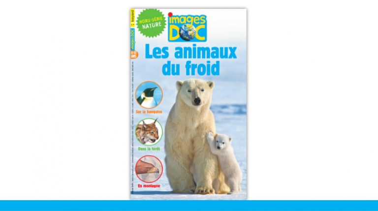 Les animaux du froid - Images Doc