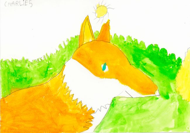 Dessine les animaux de la forêt - Images Doc